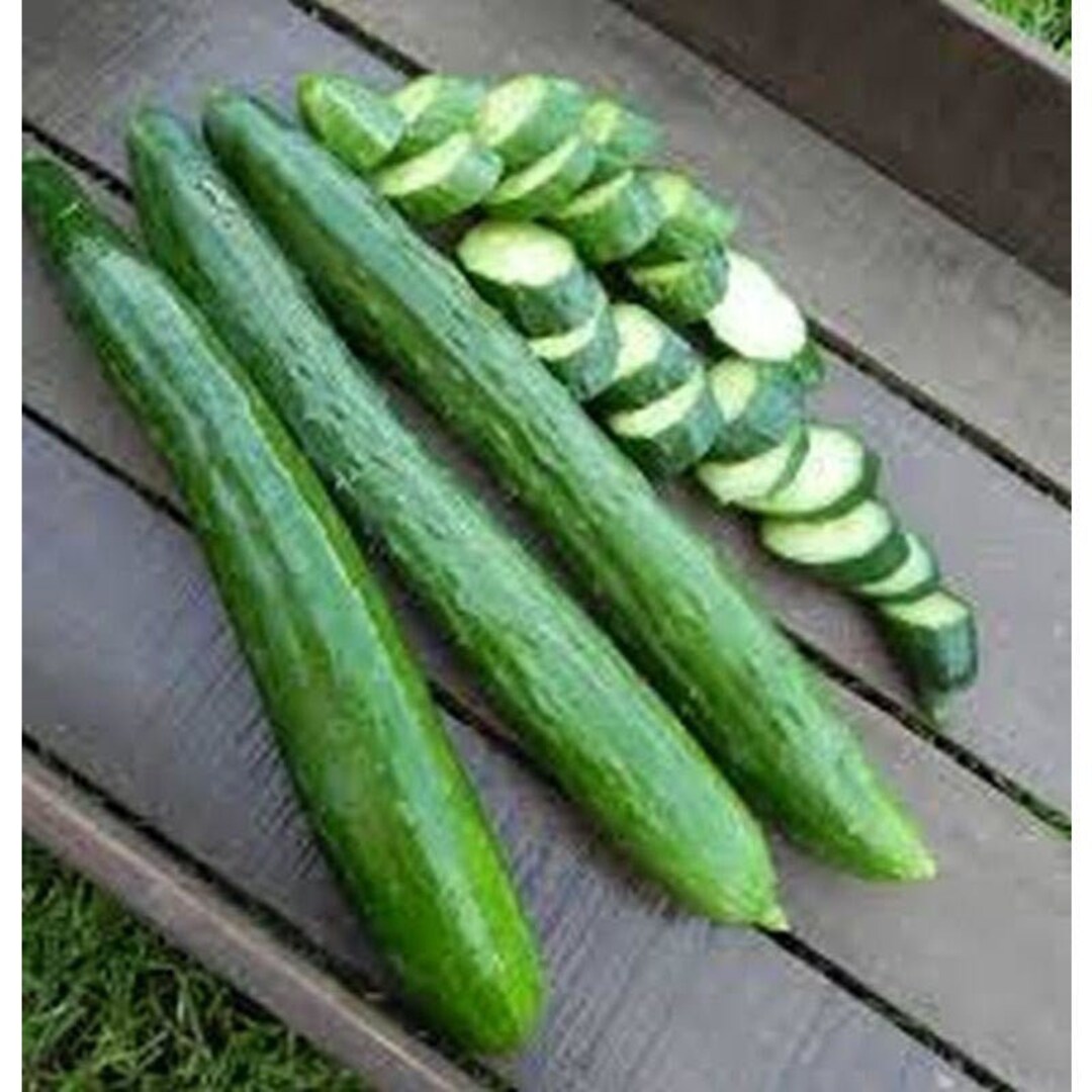 Tasty Green (F1) Cucumber Seed - Etsy