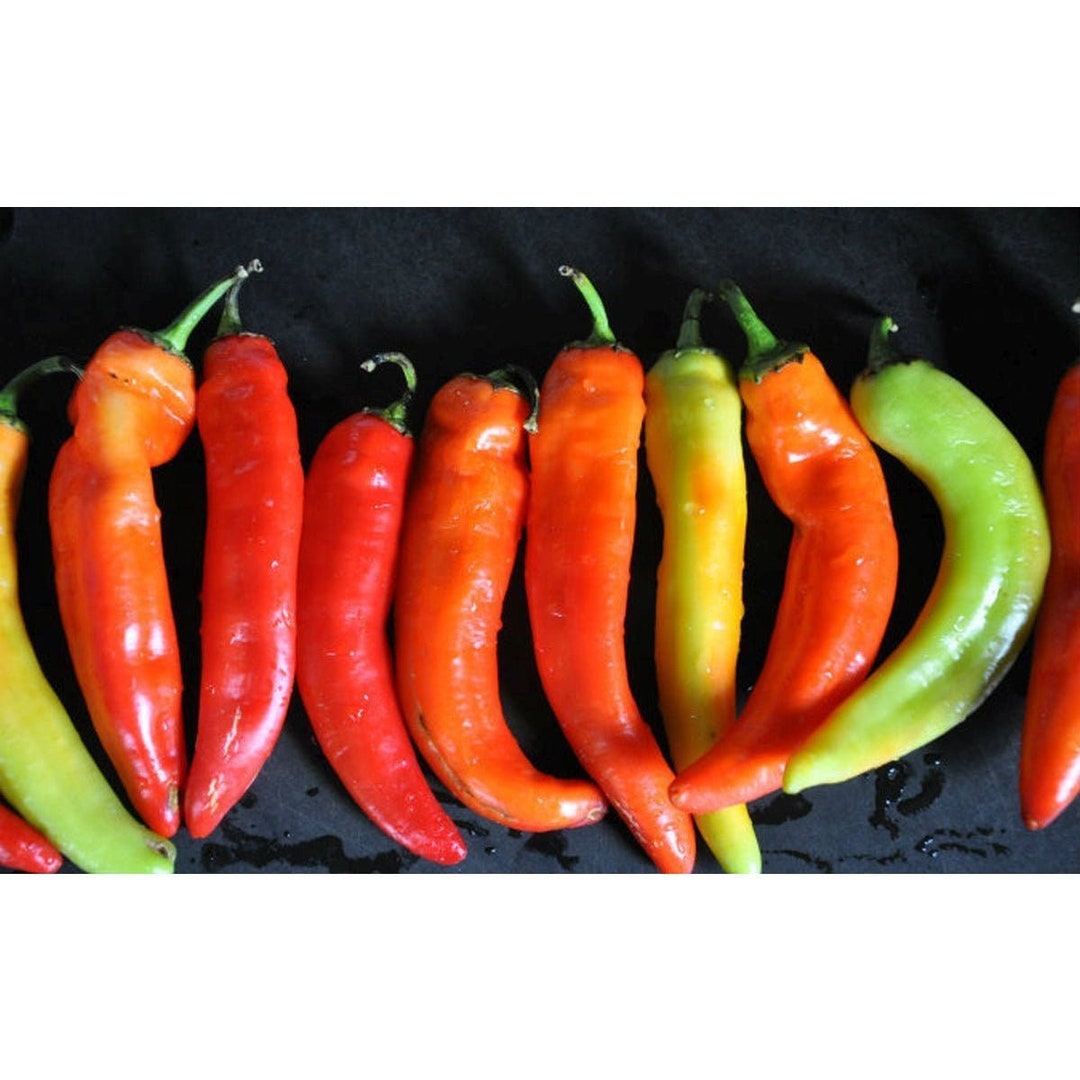 Inferno F1 Hybrid Hot Pepper Seeds - Etsy