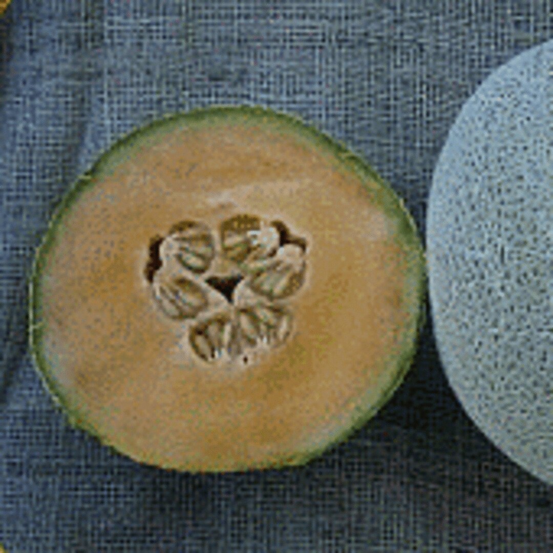 Planter's Jumbo Melons Seeds - Etsy
