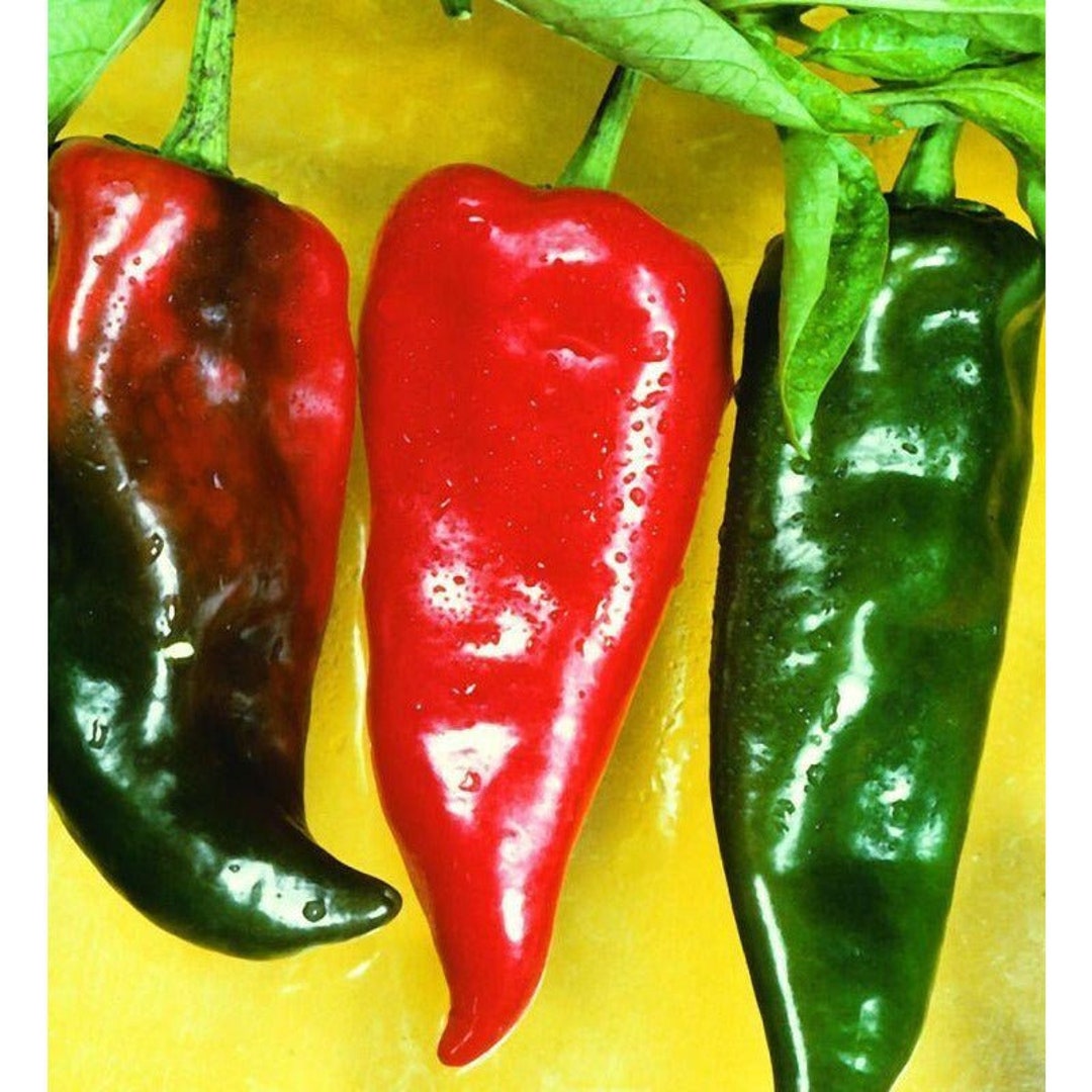 Grande F1 Hybrid Hot Pepper Seeds - Etsy