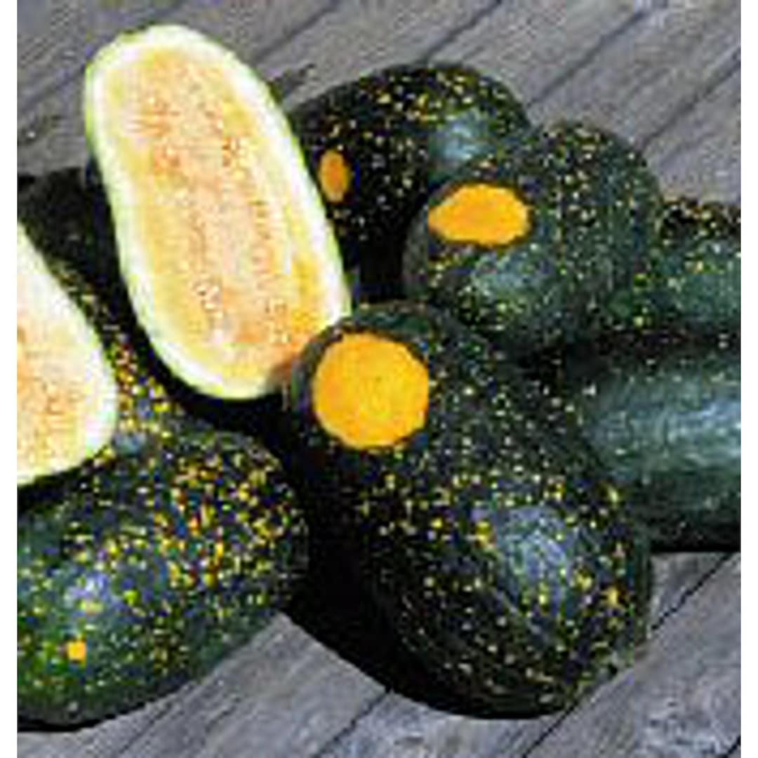 Moon & Stars Watermelons (yellow Flesh) Seeds - Etsy
