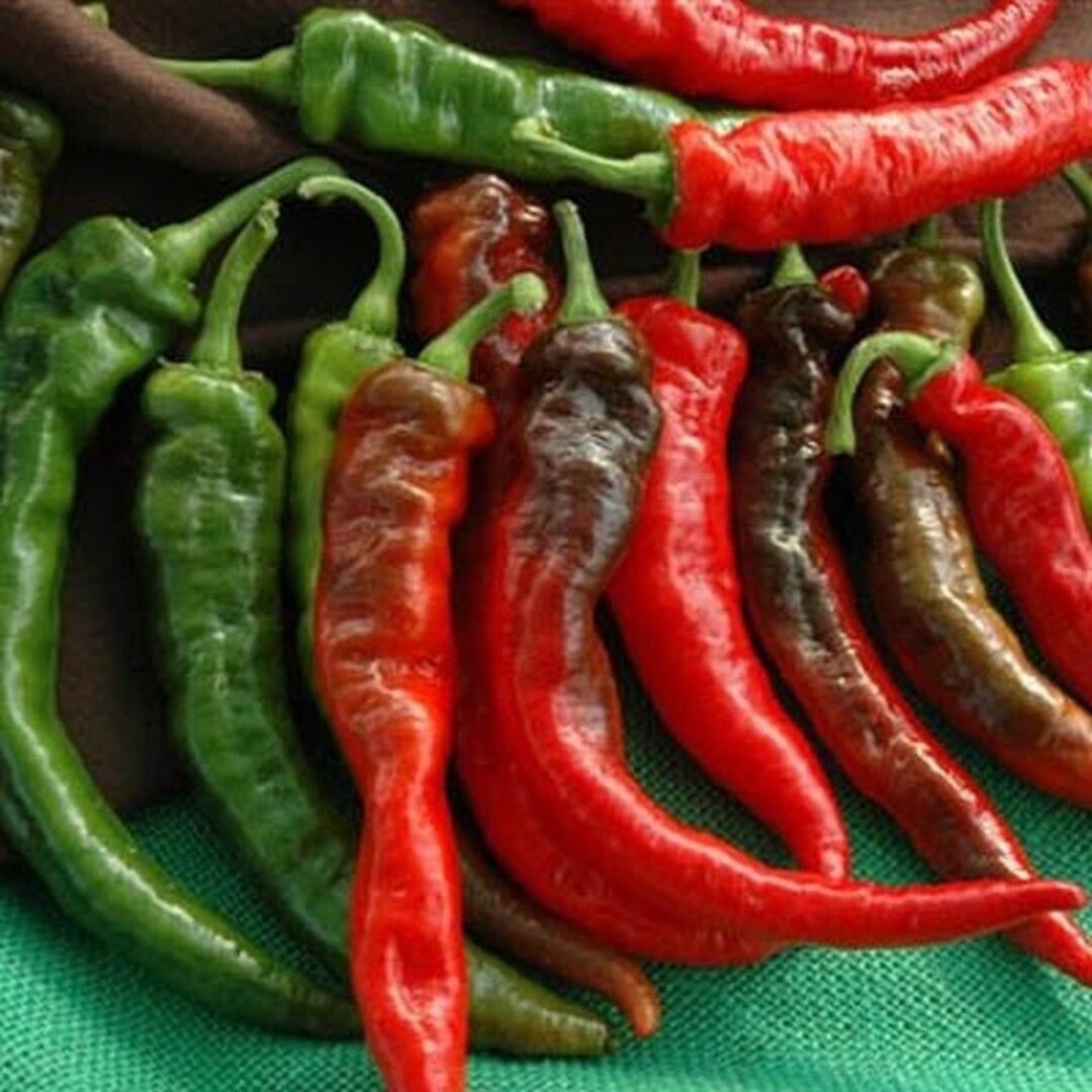 Cheyenne Hybrid F1 Hot Pepper Seeds - Etsy