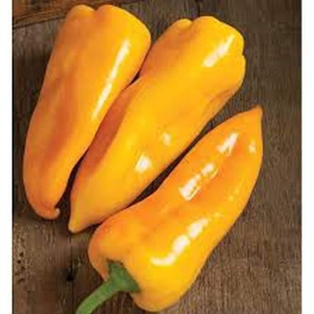 Escamillo Hybrid Sweet Pepper Seeds - Etsy