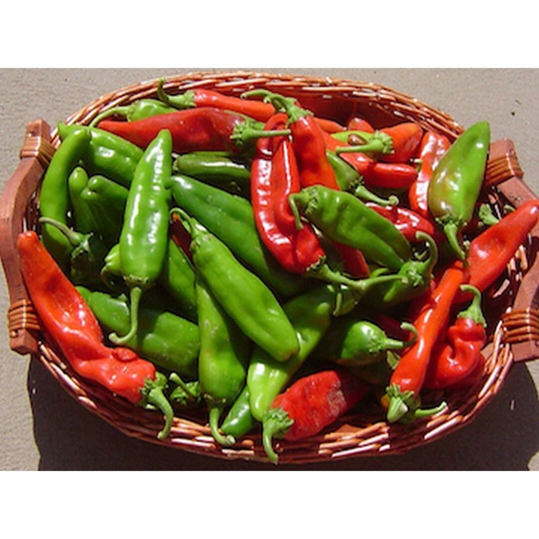 Numex Mesa Hot Pepper Seeds - Etsy