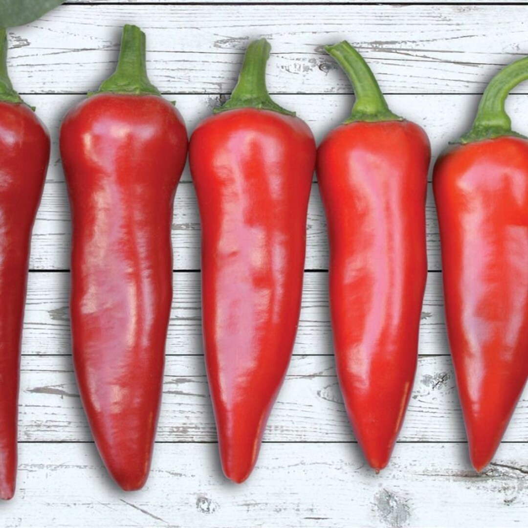 Flaming Flare F1 Hybrid Hot Pepper Seeds - Etsy