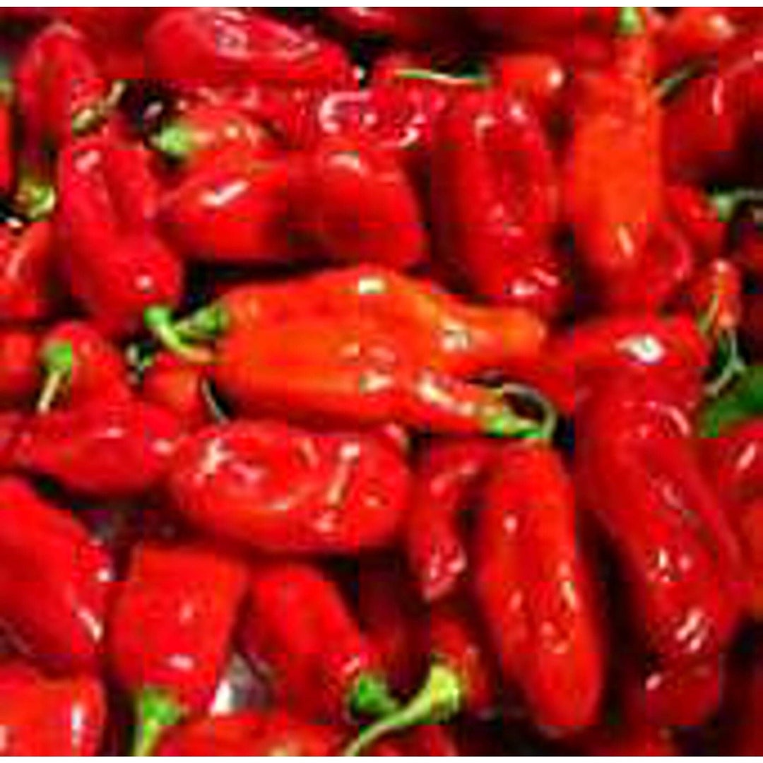 Datil Sweet Hot Peppers Seeds - Etsy