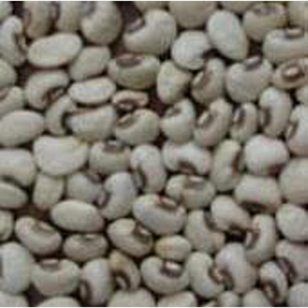 Big Boy Cowpeas Seeds - Etsy