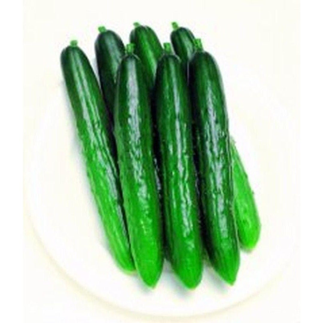 Progress Japanese Hybrid Cucumber Seeds - Etsy
