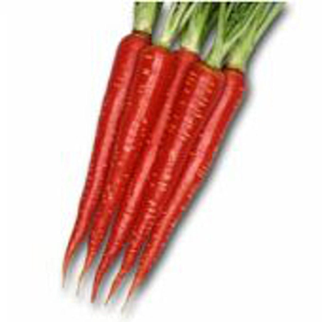 Kyoto Red Carrots Seeds - Etsy