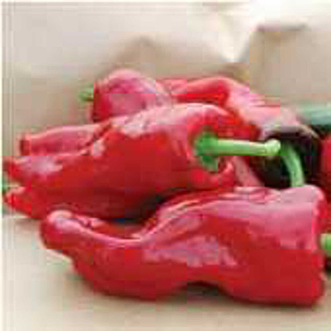 Gentle Giant Goliath Sweet Peppers Seeds - Etsy