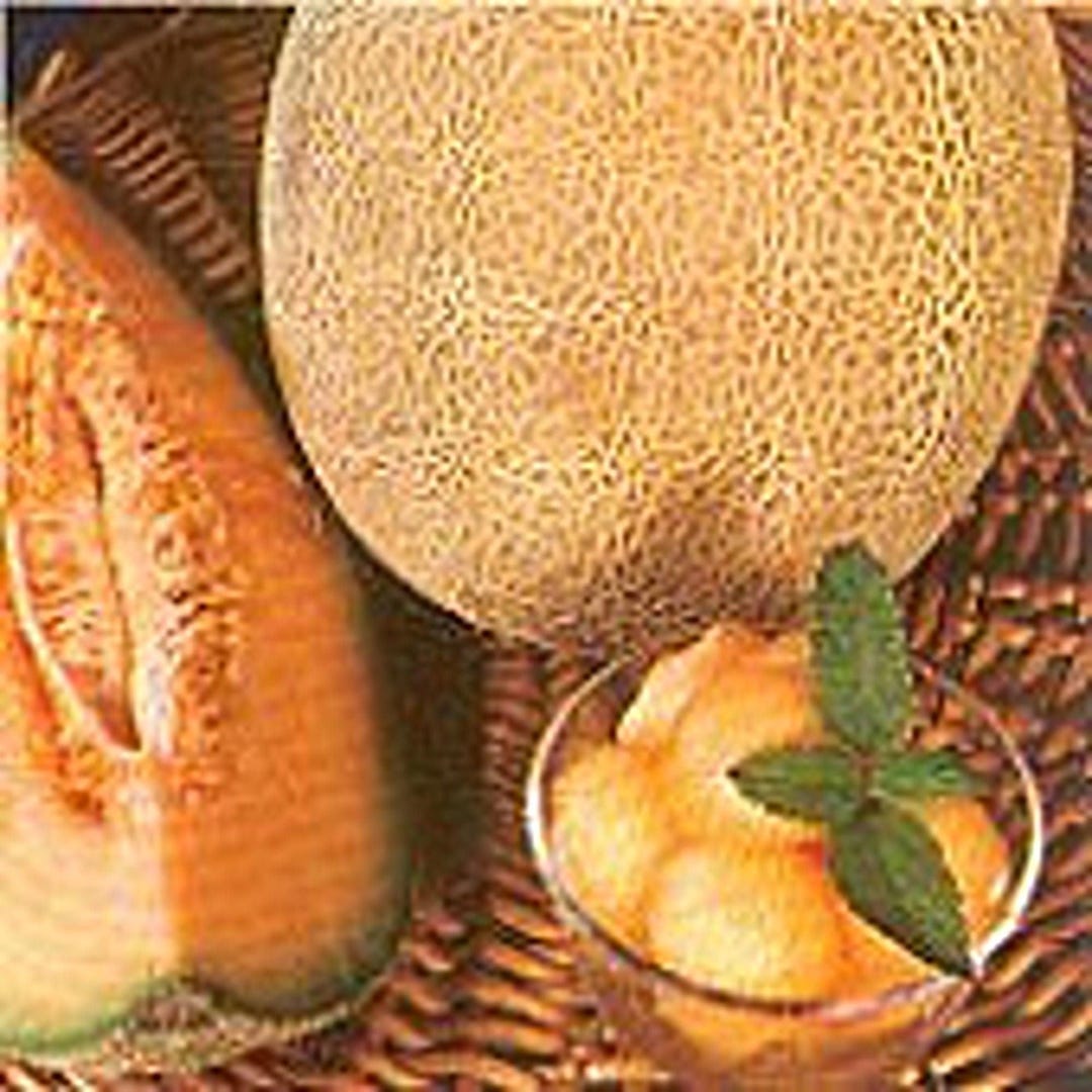 Iroquois Melons Seeds - Etsy