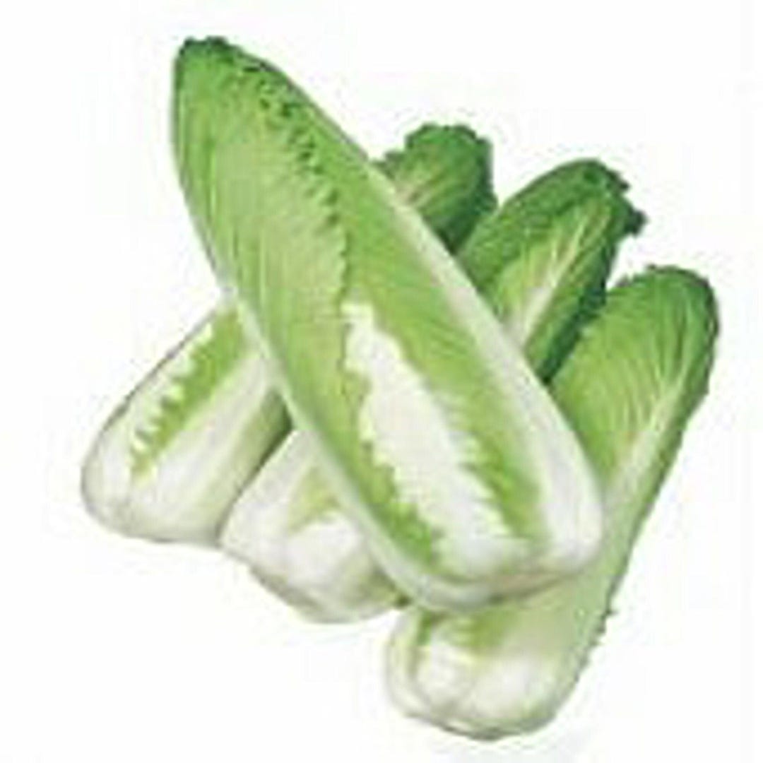 Green Rocket Chinese Cabbage Seeds - Etsy