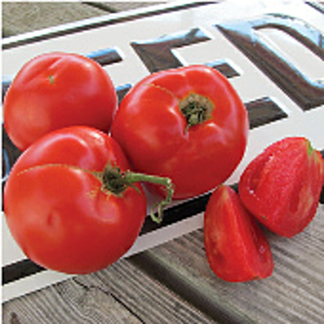 Tasti Lee Tomato Seeds - Etsy