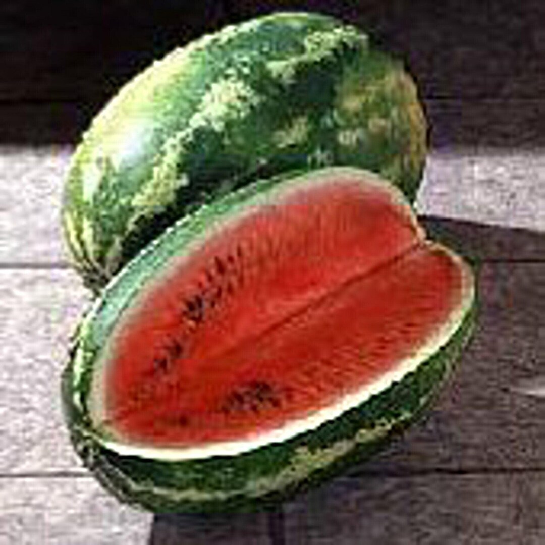 Cal Sweet Watermelons Seeds - Etsy