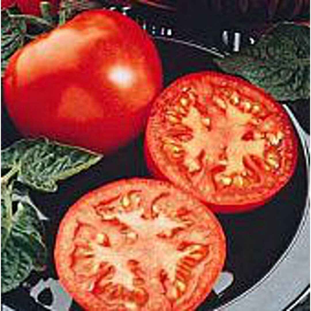 Husky Tomato (red) Seeds - Etsy