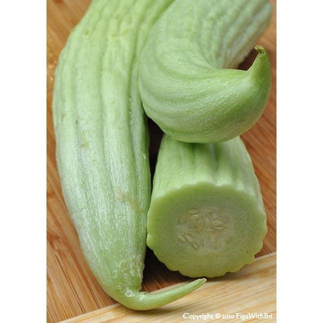 Armenian (yard Long) Cucumber - Etsy