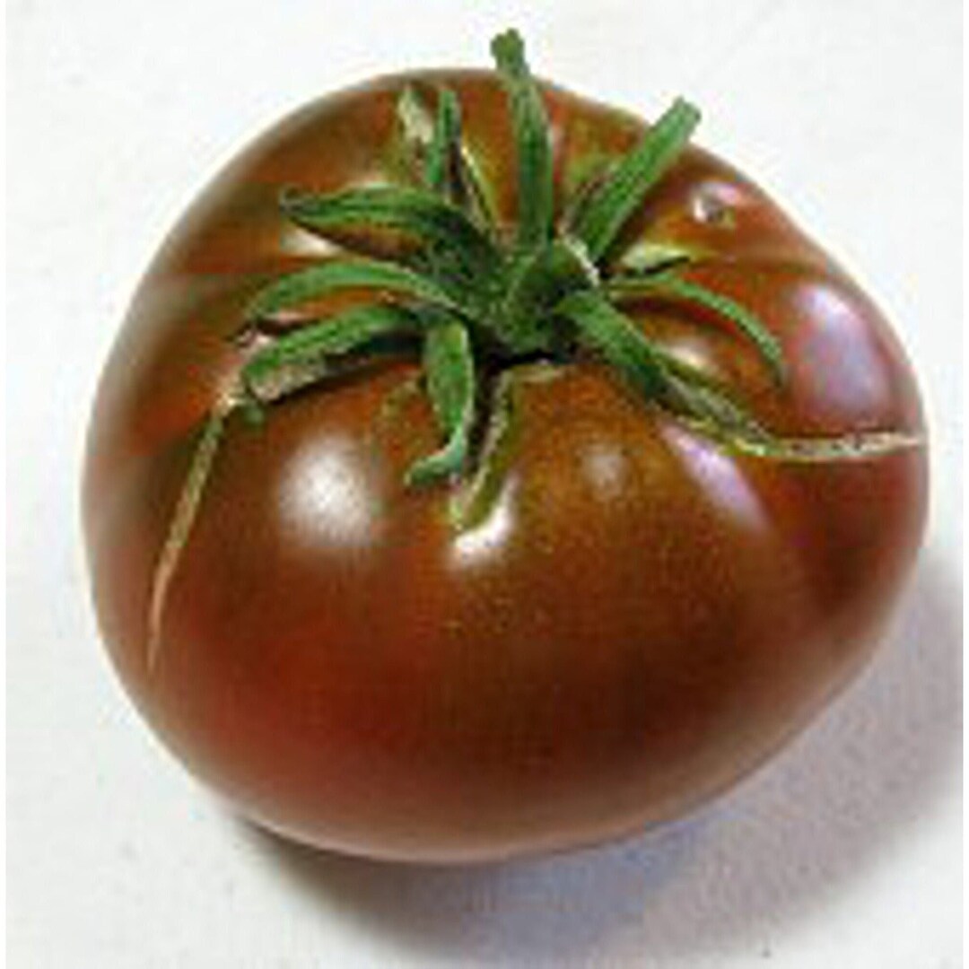 Cherokee Chocolate Tomato Seeds - Etsy
