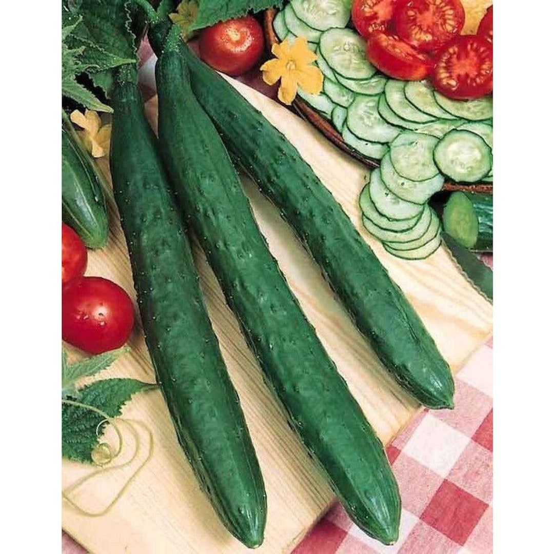 Tasty Jade F1 Cucumber Seeds - Etsy
