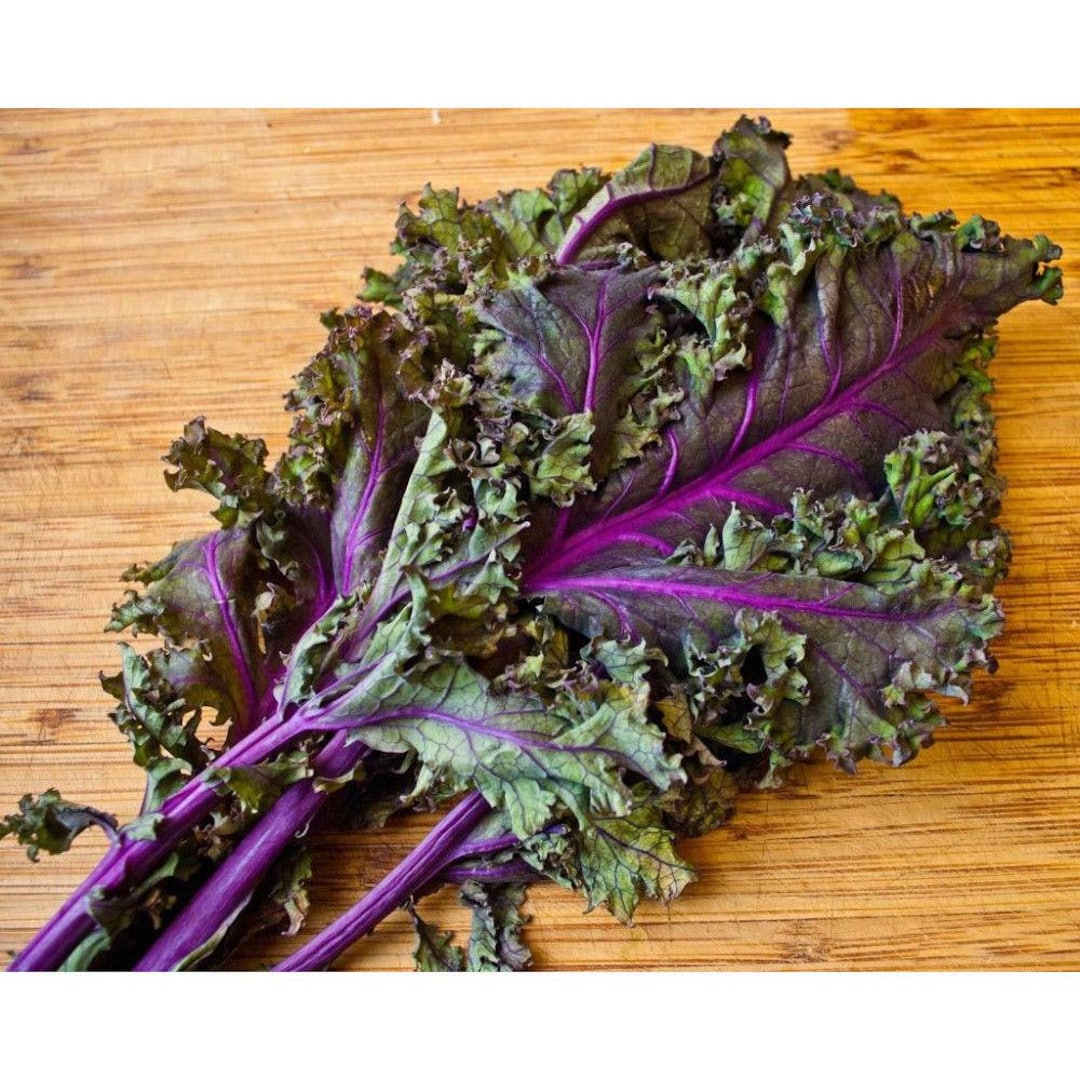 Deluxe Kale Mix Seeds (8 Different Kinds of Kale) - Etsy