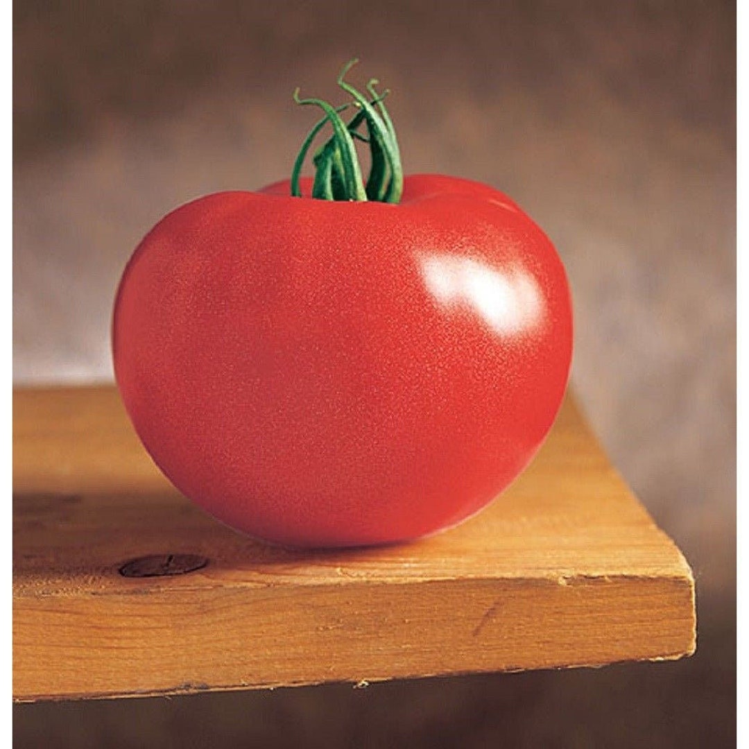 Poseidon 43 F1 Hybrid Tomato Seeds - Etsy
