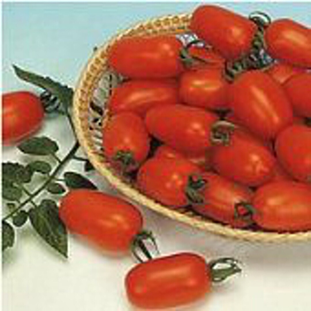 Juliet Tomato Seeds - Etsy