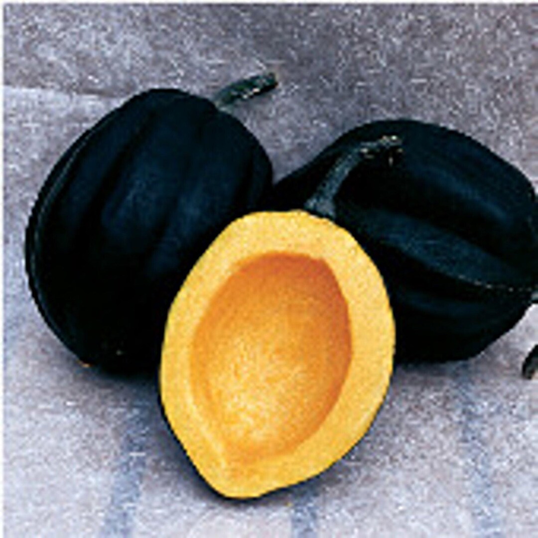 Table Ace Squash Seeds - Etsy