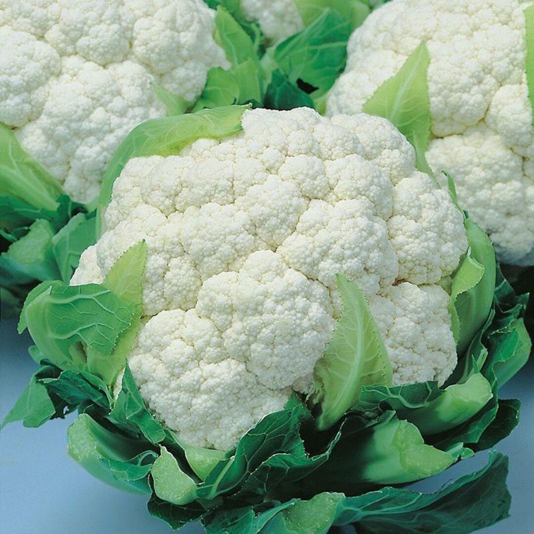 Snow Crown Hybrid F1 Cauliflower Seeds - Etsy