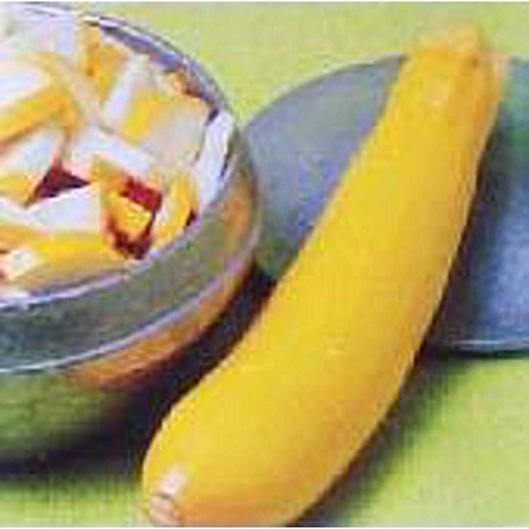 Seneca Prolific Squash Seeds - Etsy