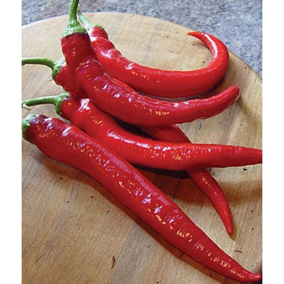 Big Red Hybrid Hot Pepper Seeds - Etsy