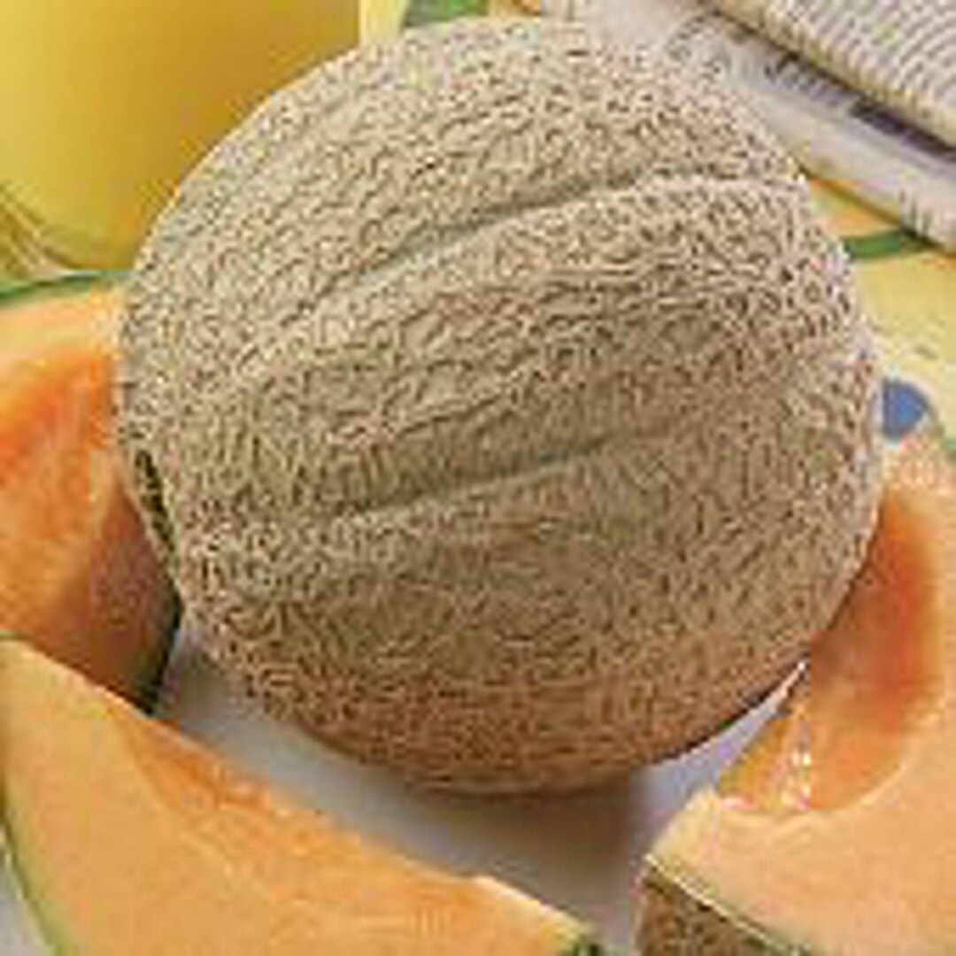 Hearts of Gold Melons Seeds - Etsy