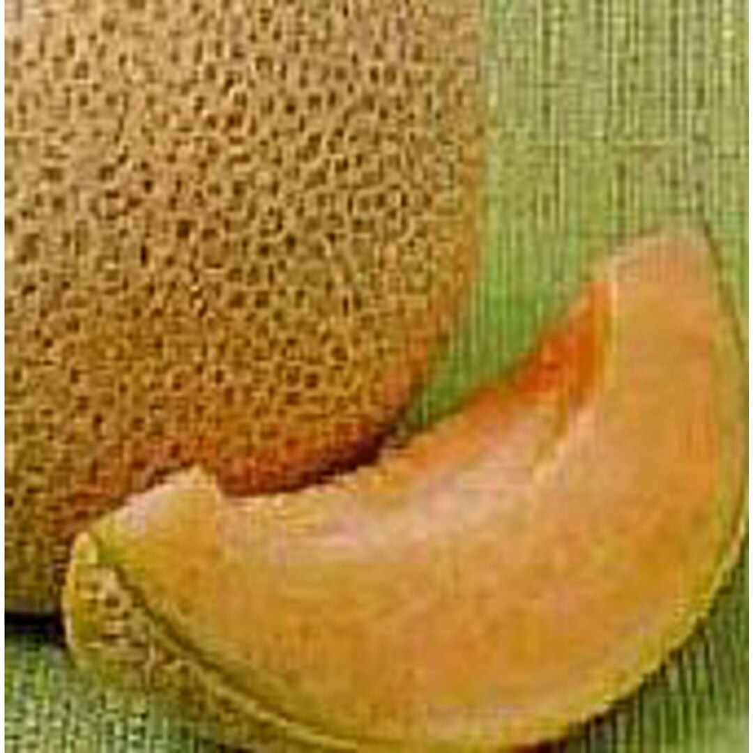Delicious 51 Melons Seeds - Etsy