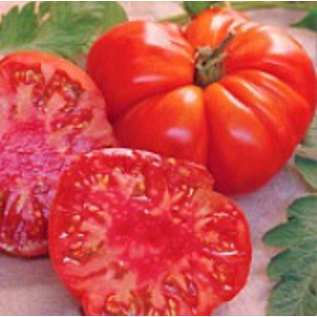 Tomande Tomato Seeds - Etsy