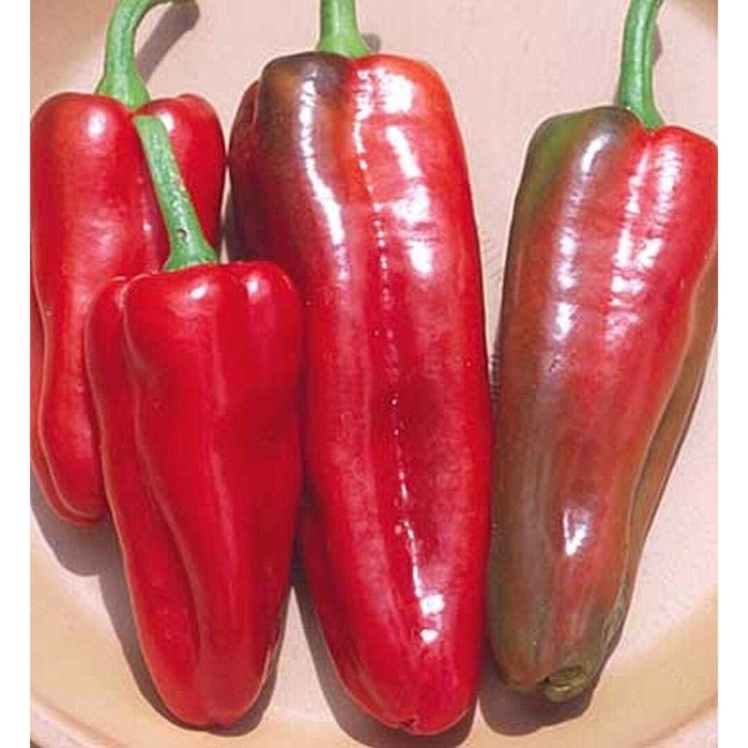 Marconi Red (rossa) Pepper Seeds - Etsy