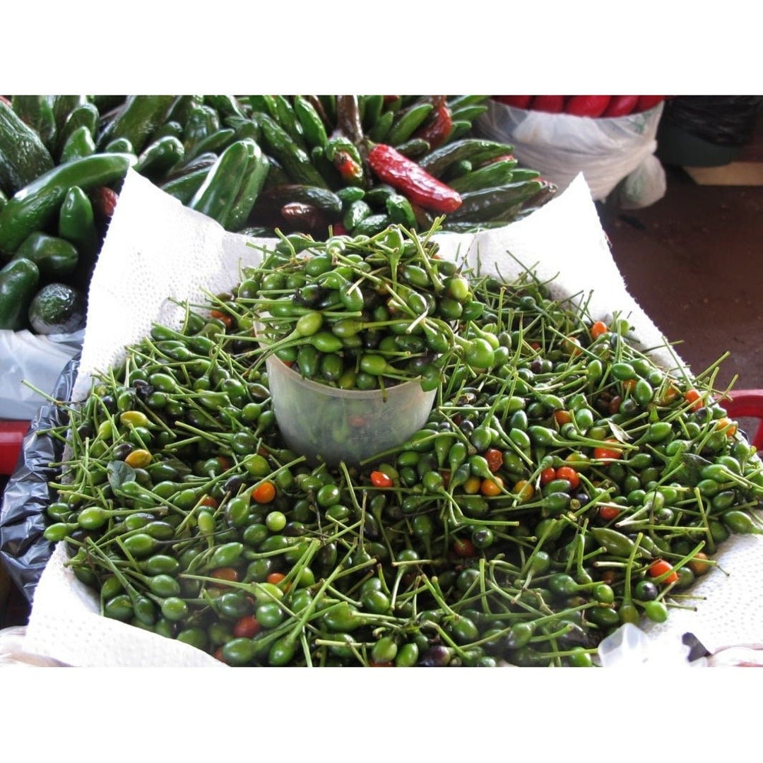 Chile Pequin Peppers Seeds - Etsy
