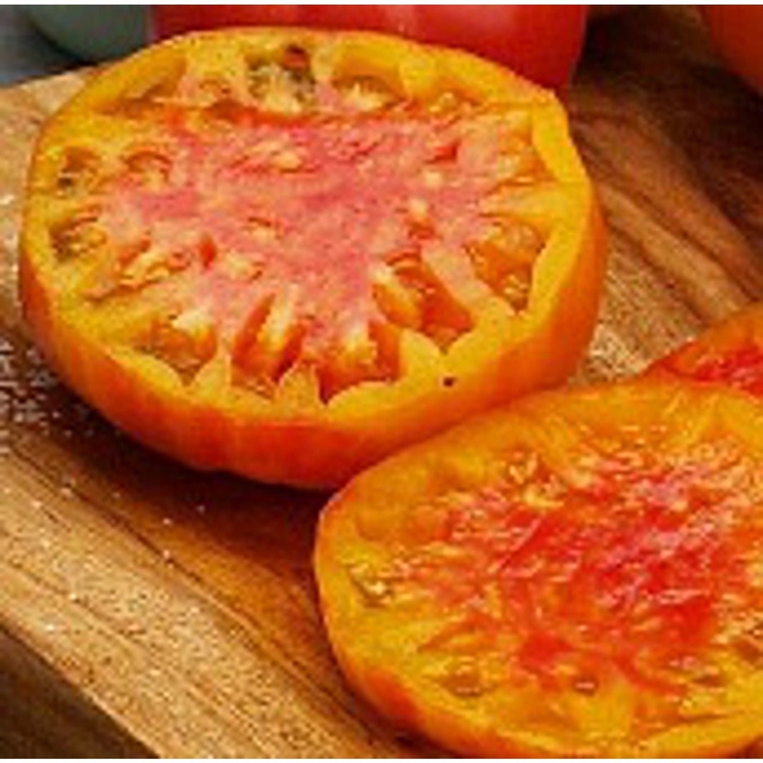 Virginia Sweets Tomato Seeds - Etsy