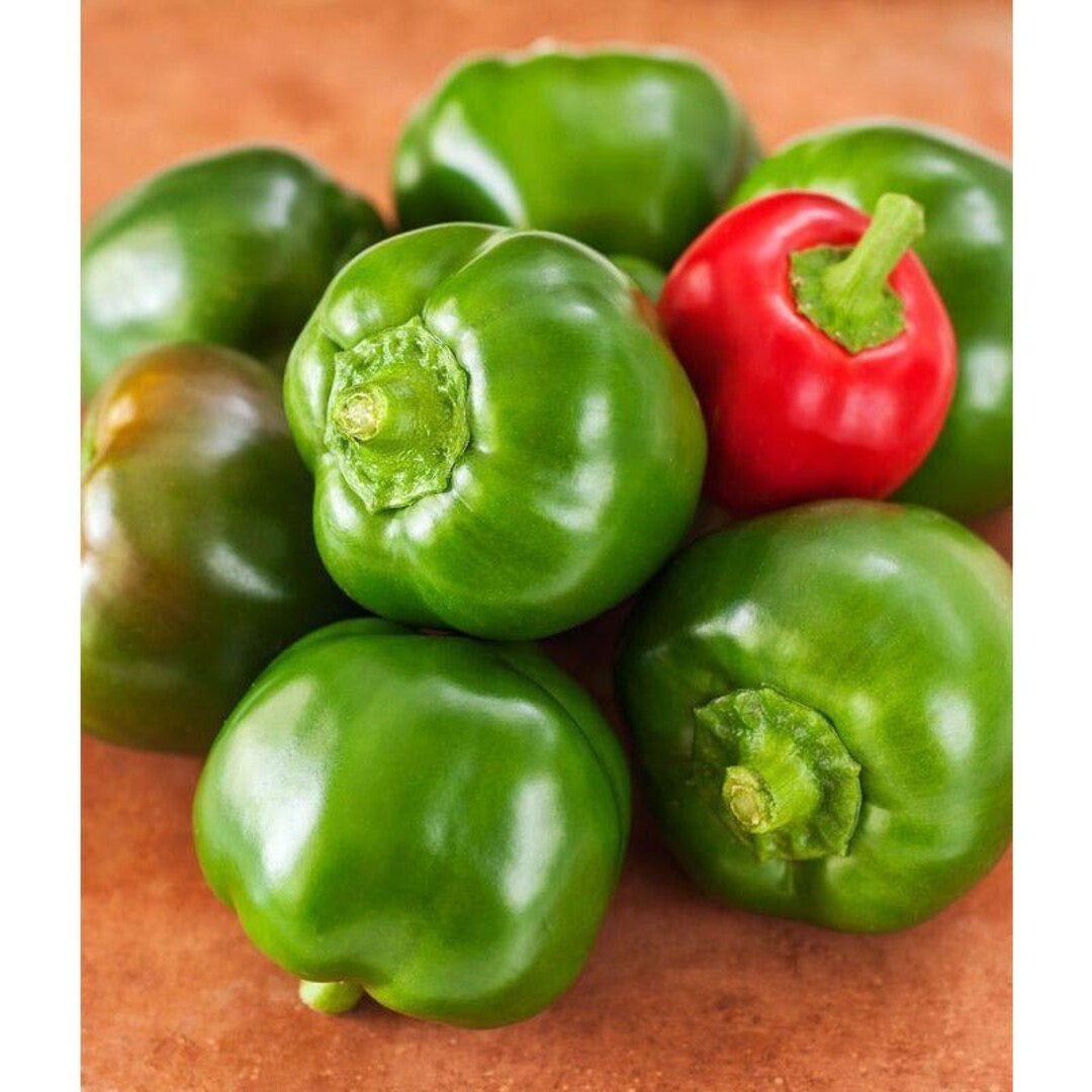 Mexibell F1 Hybrid Hot Pepper Seeds - Etsy