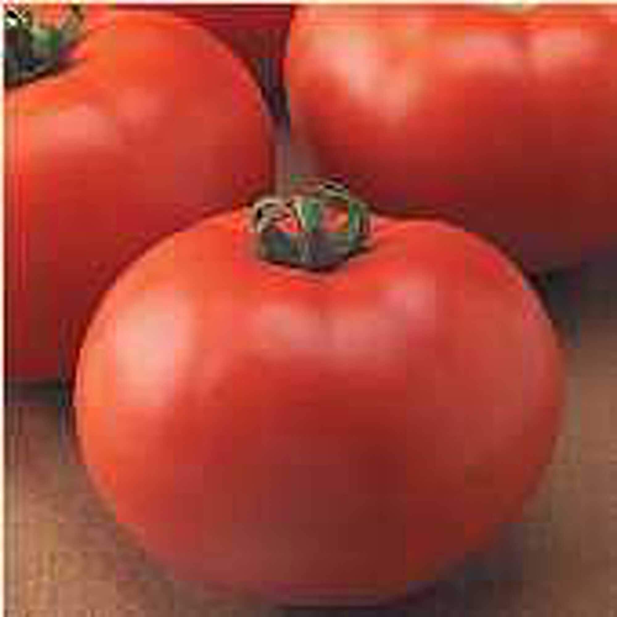 Old Fashioned Goliath Tomato Seeds - Etsy