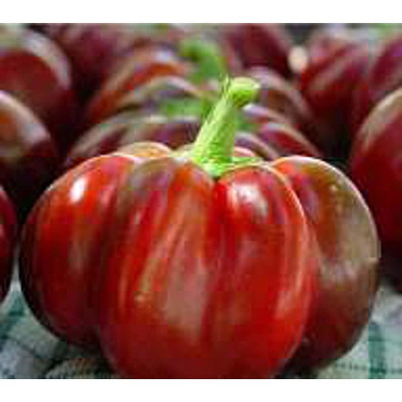 Pimentos Not Seeds - Etsy