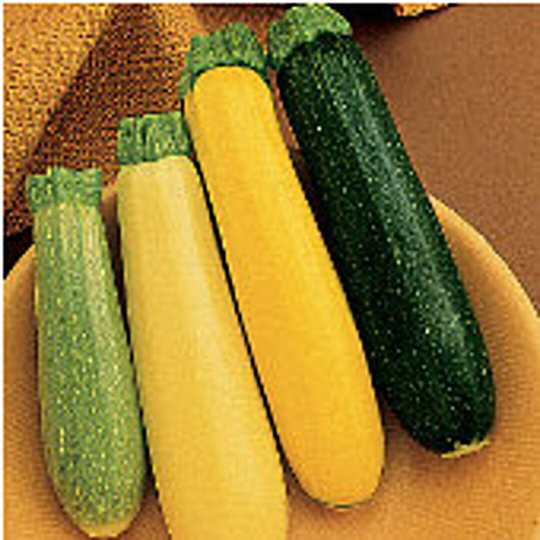 Summer Medley Blend Squash Seeds - Etsy