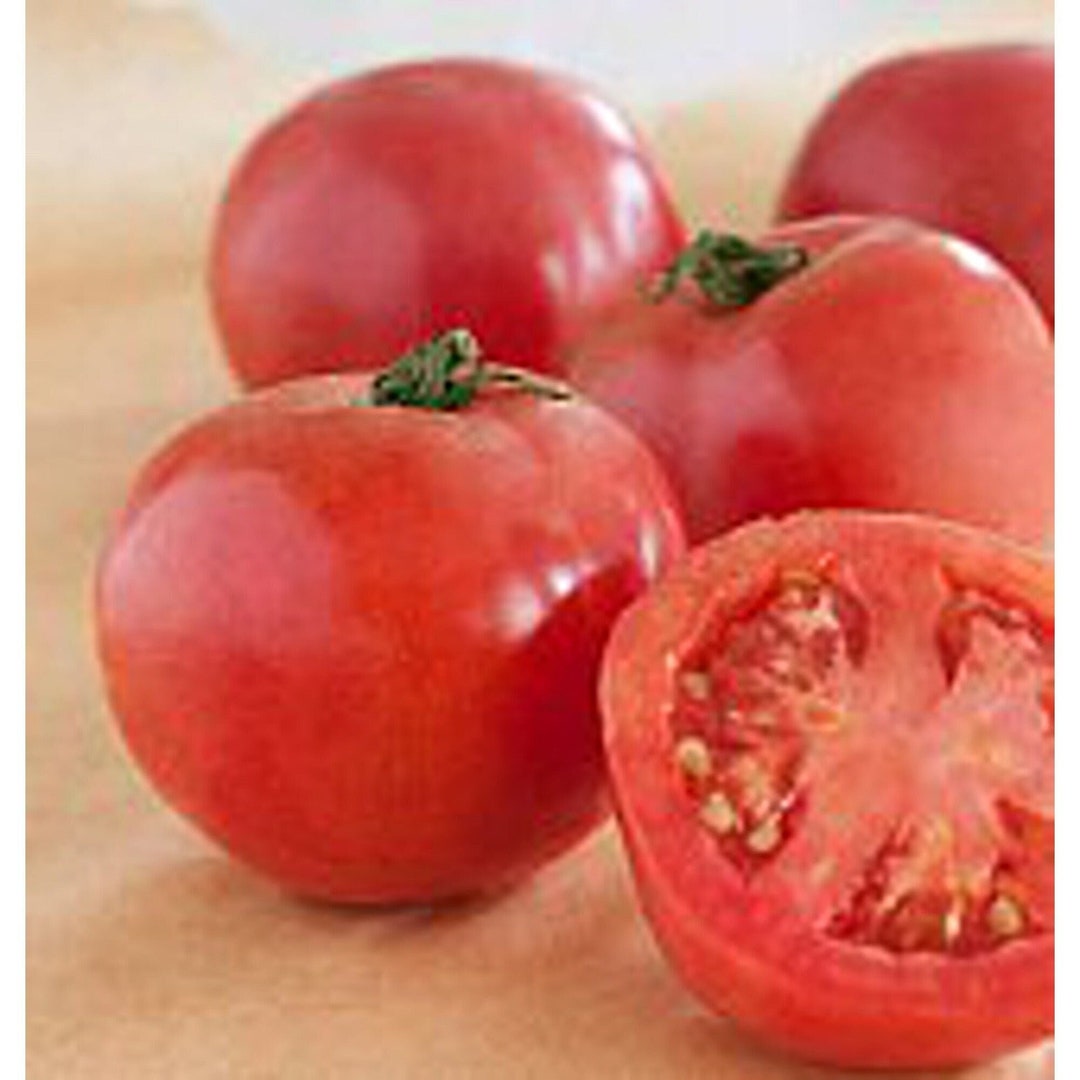 Arkansas Traveler Tomato Seeds - Etsy