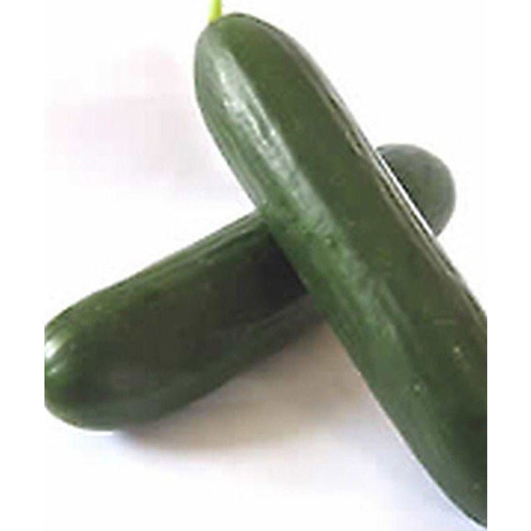 Dishon Middle Eastern Cucumber Seeds - Etsy