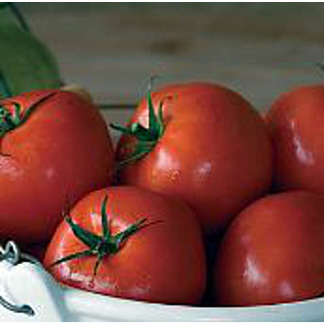 Quarter Century Tomato Seeds - Etsy