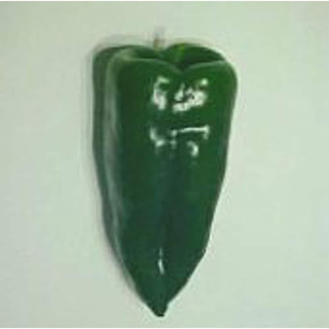Ancho Mexican Large Hot Peppers Seeds - Etsy