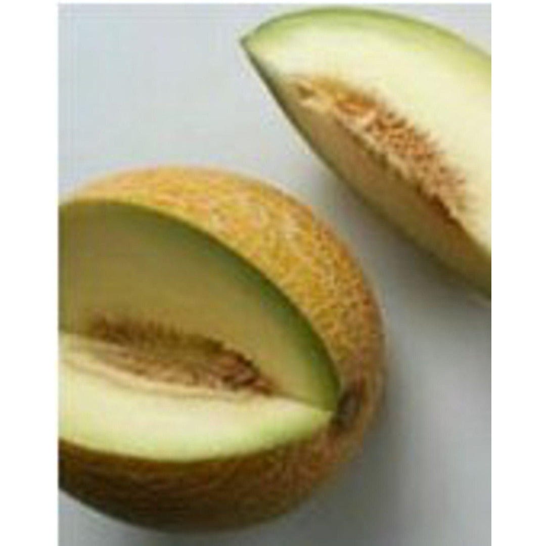 Old Original Israel Melons Seeds - Etsy
