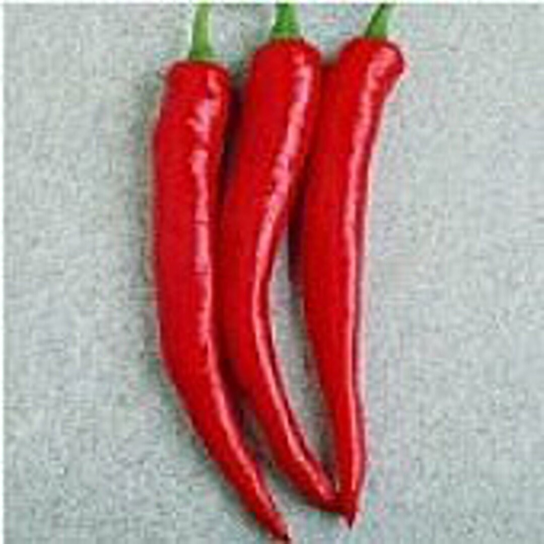 Cayenne Long Red Hot Peppers Seeds - Etsy