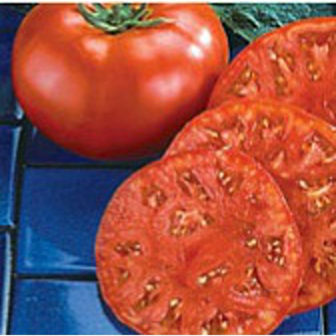 Beefmaster Tomato Seeds - Etsy