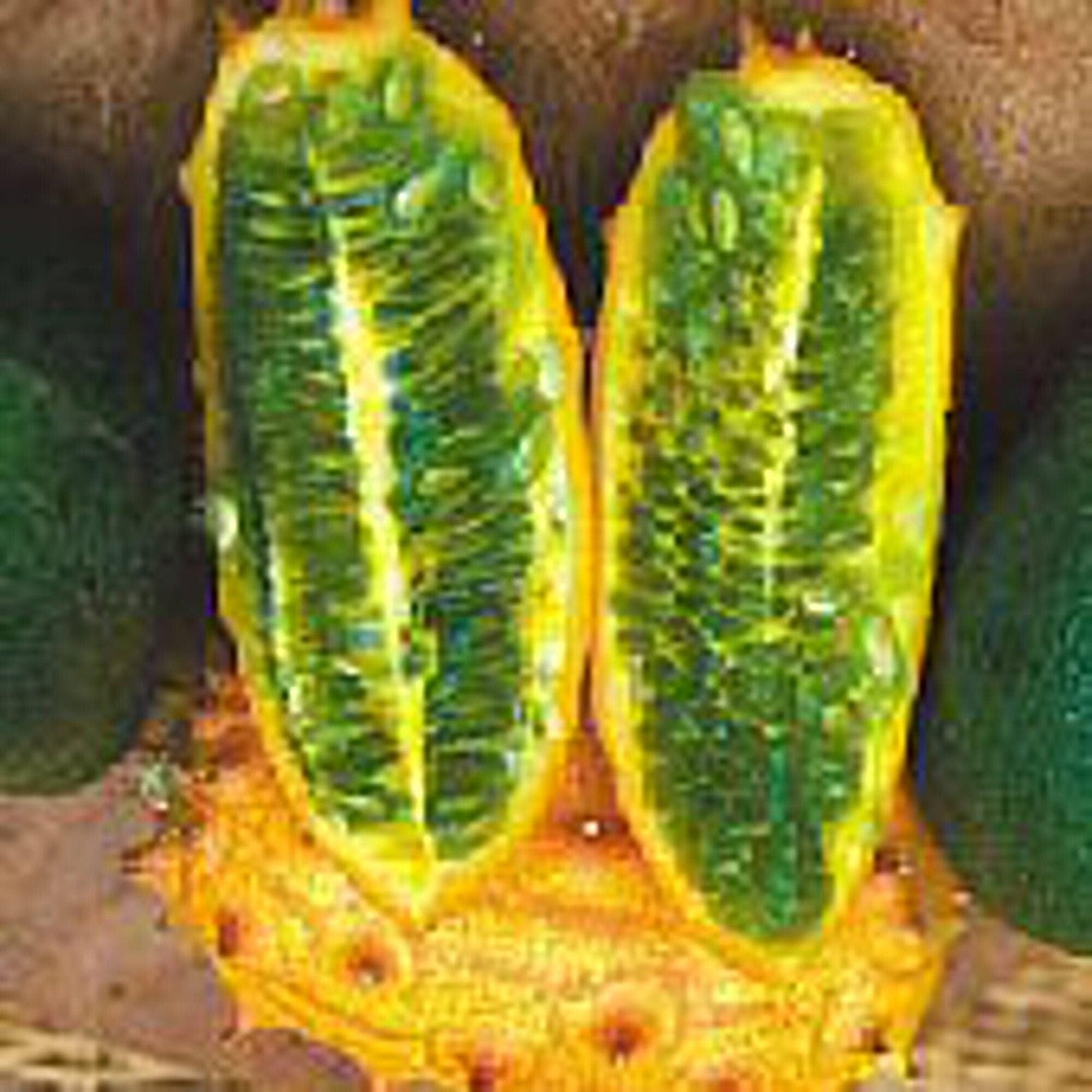 Kiwano Melons Seeds - Etsy