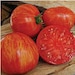 Red Genovese Basil Seeds - Etsy