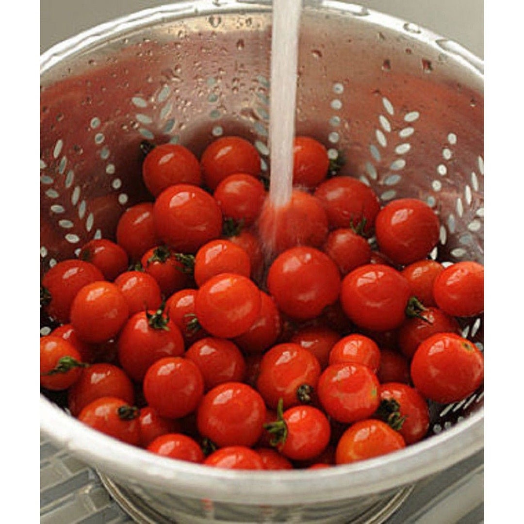 Power Pops F1 Hybrid Tomato Seeds - Etsy
