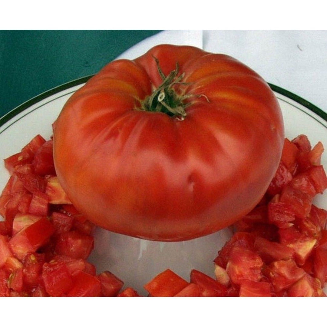 Andrew Rahart Jumbo Red Tomato Seeds - Etsy